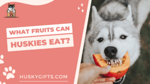 What Fruits Can Huskies Eat? (10 Healthy Fruits!)