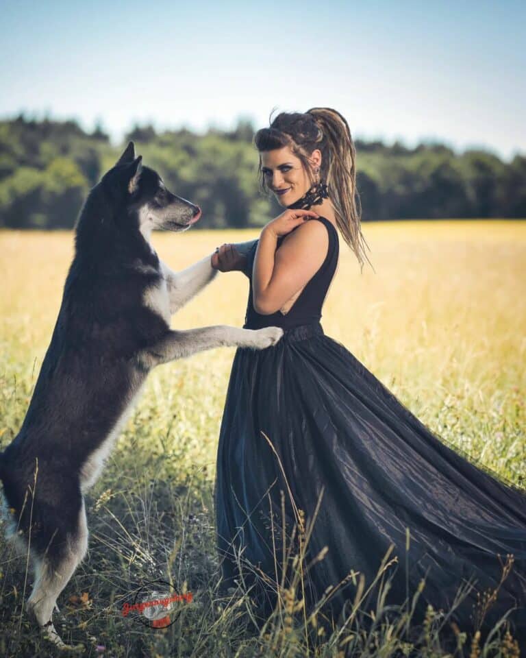 Husky Wolf Mix (Wolf Dog): Owner's Guide