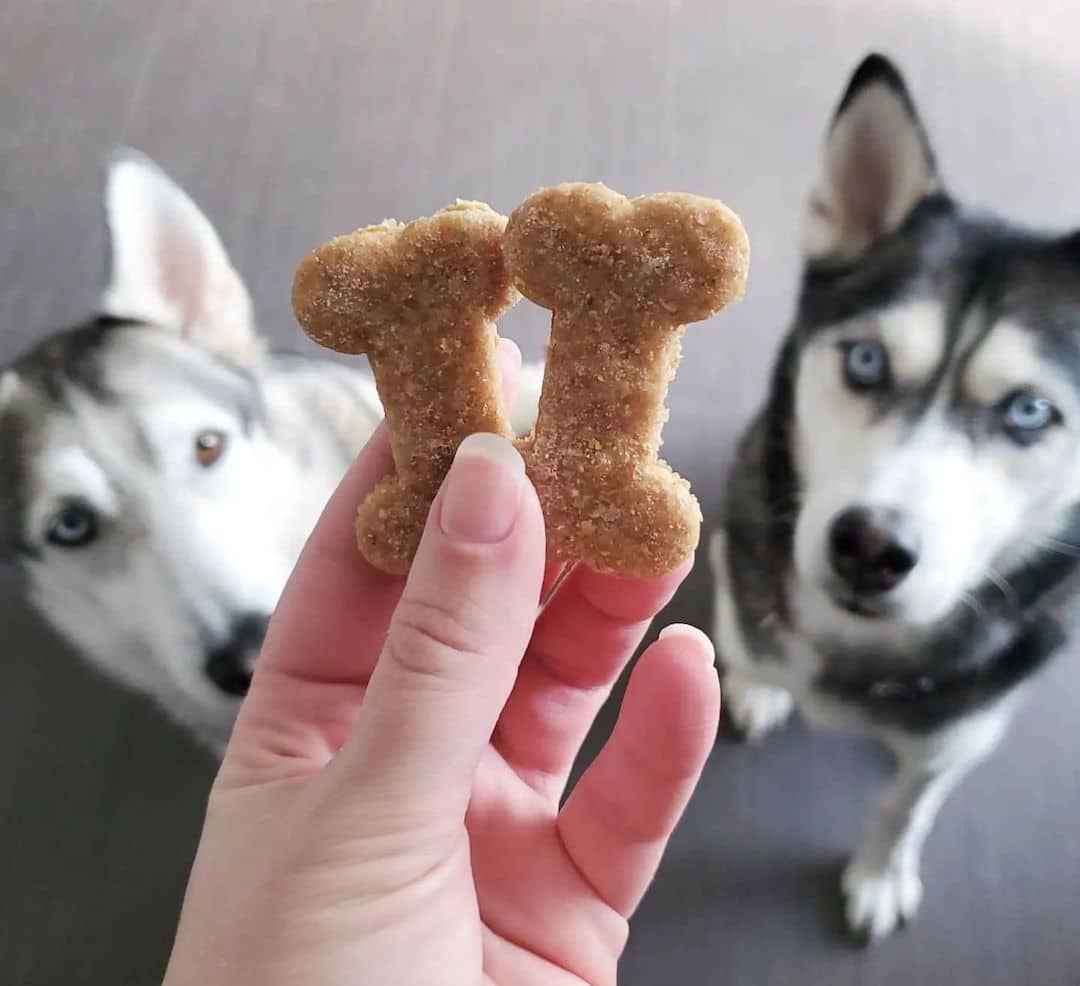 4 Types Of Dog Training Methods (Which Technique Is Best?)
