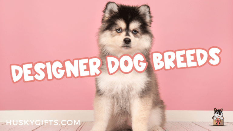12 Designer Dog Breeds And Their History (+ Photos!)