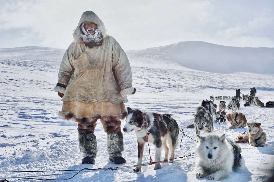 Alaskan Husky vs Siberian Husky (8 Key Differences)