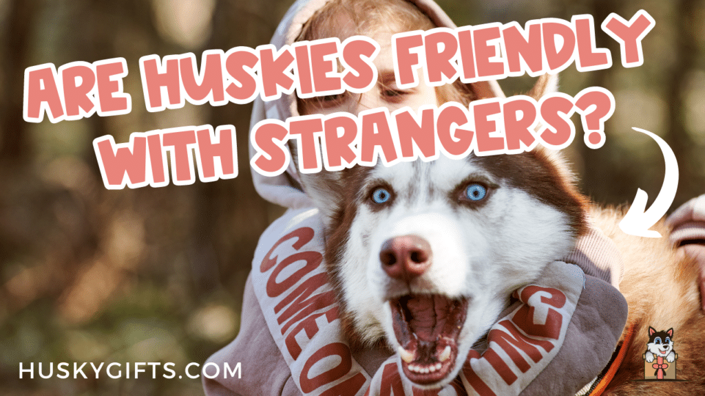 Siberian Husky Behavior Hub (Everything You Need To Know)