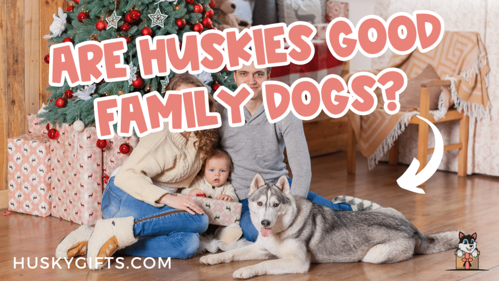 Siberian Husky Behavior Hub (Everything You Need To Know)