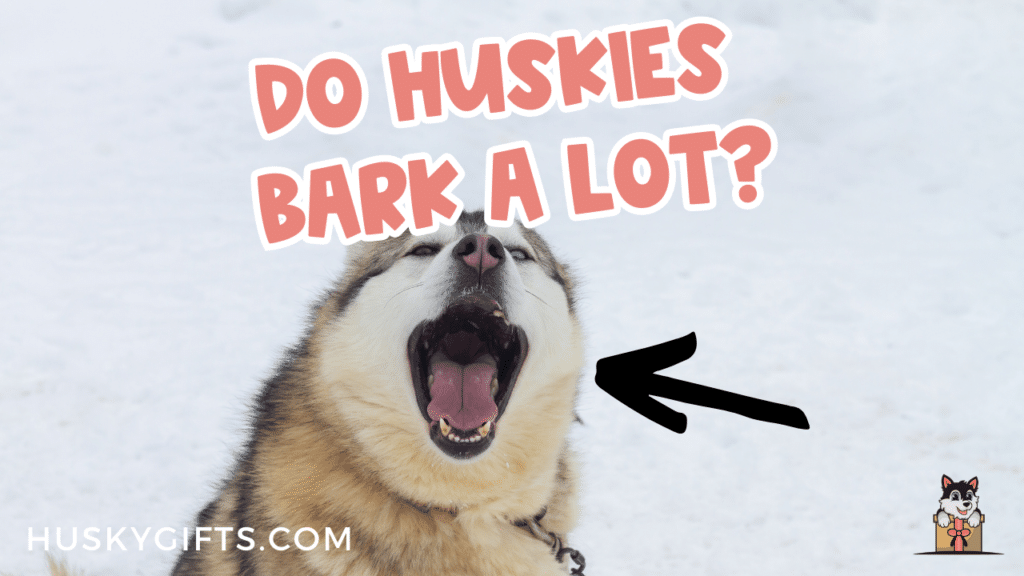Siberian Husky Behavior Hub (Everything You Need To Know)